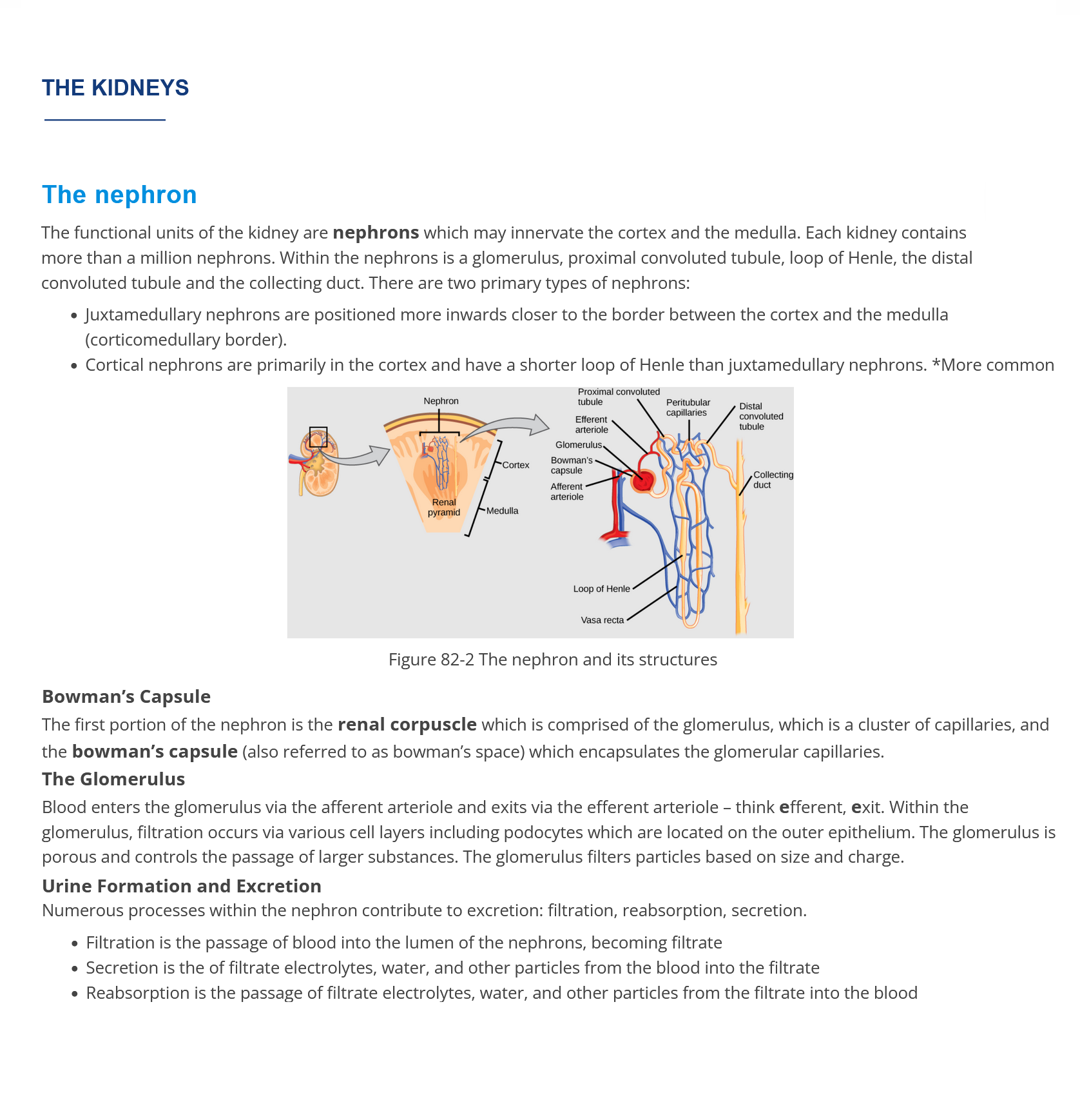 NAPLEX® Review Course | NAPLEX® Prep Course | UMock