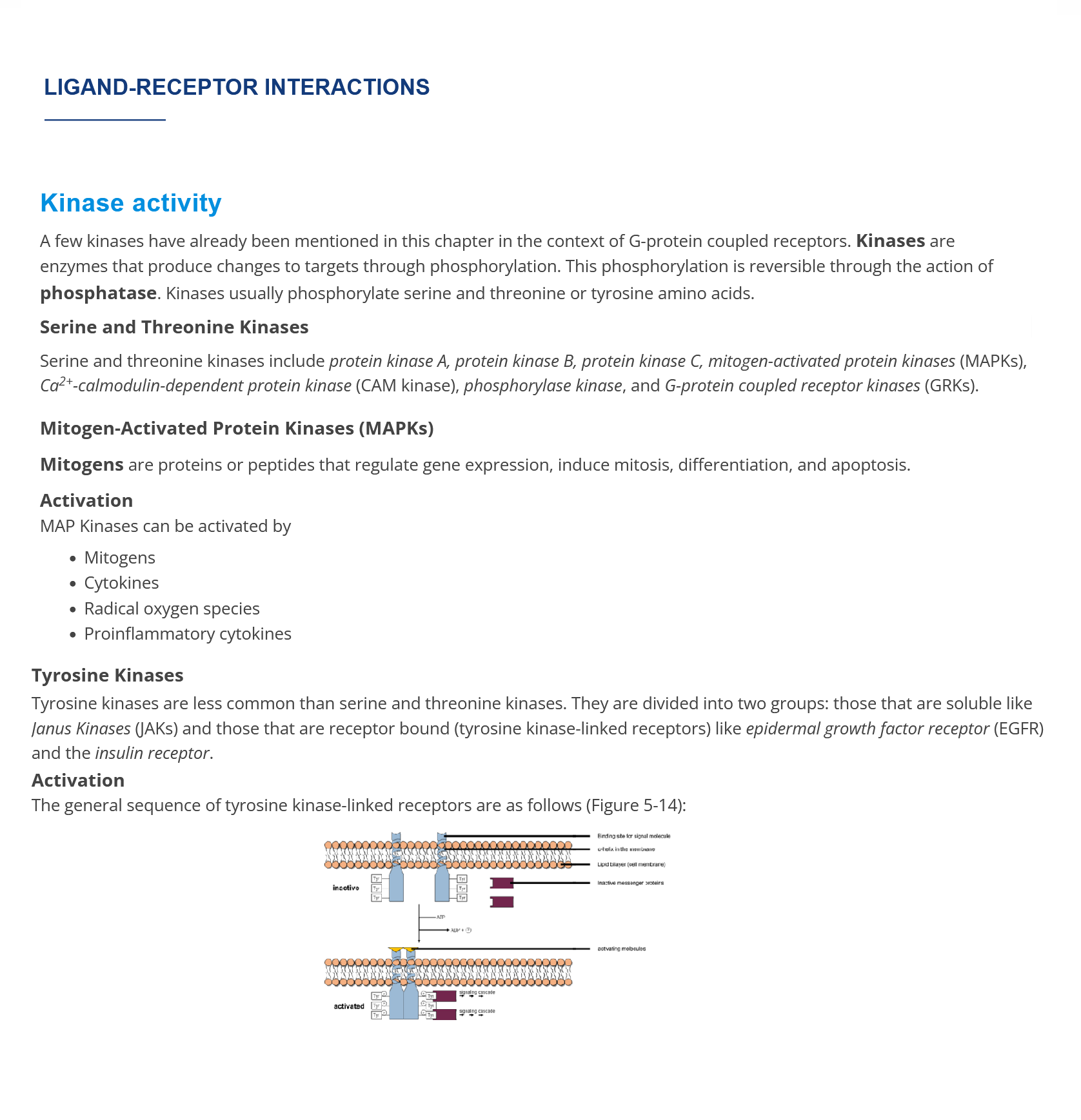 NAPLEX® Review Course | NAPLEX® Prep Course | UMock